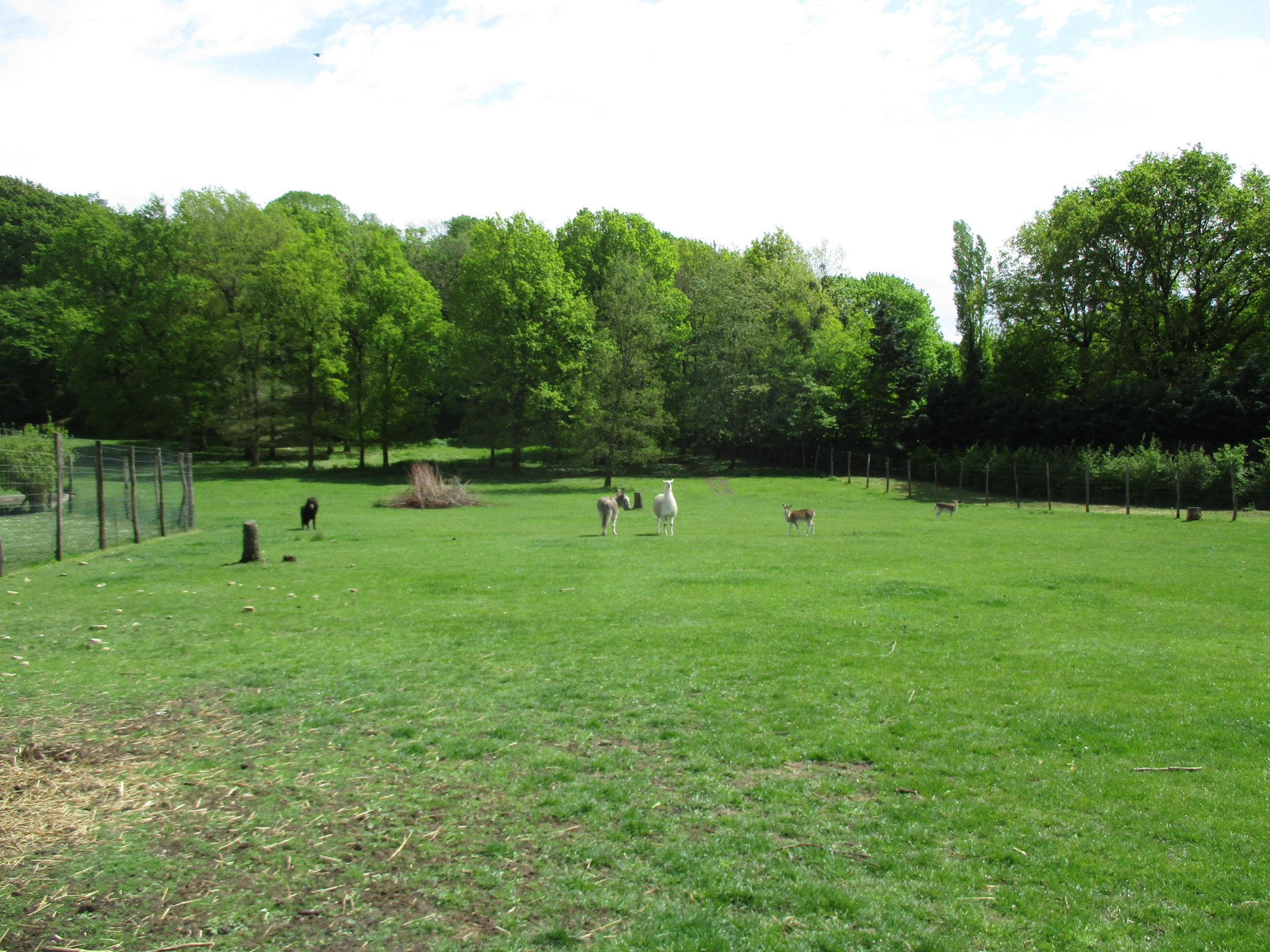 Vente SUR 2 HECTARES 9